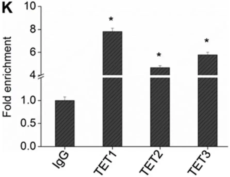吐血整理！一文带你解锁各类核酸互作 - 知乎
