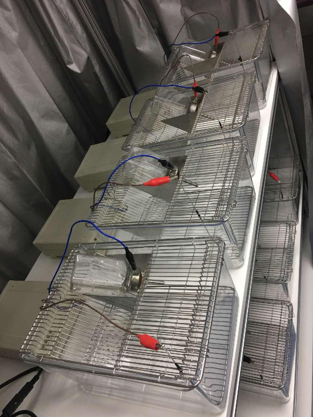 欣软行为学：小鼠lickometer舔舐行为学实验方法讲解 - 知乎