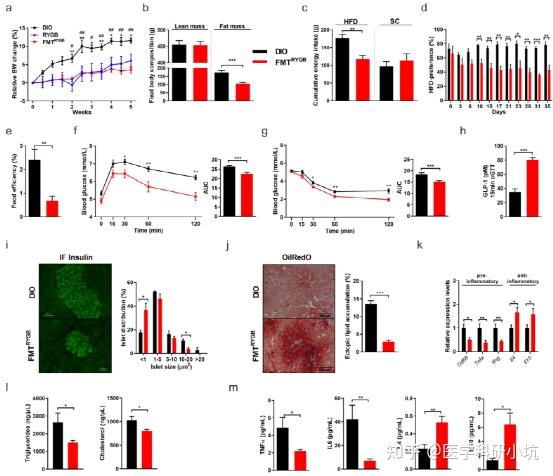 Microbiome : 科学家揭示了微生物群改进和完善目前的肥胖症和代谢综合征的治疗 - 知乎