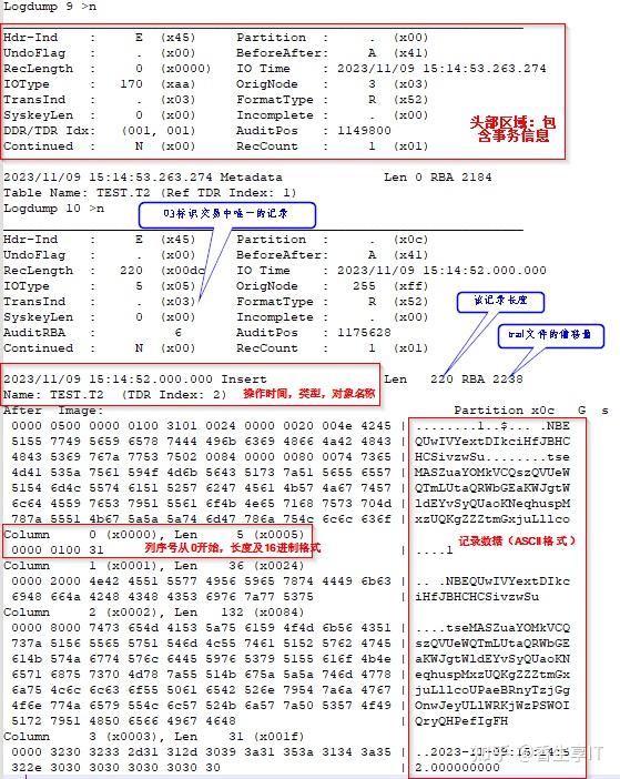 使用logdump探秘OGG中trail文件中DML操作内容 - 知乎