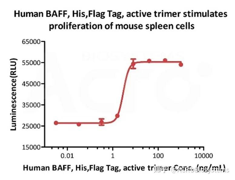 突破自身免疫性疾病的新希望：探索BAFF与受体相互作用的潜力 - 知乎