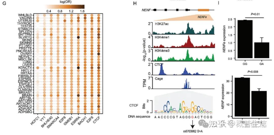 国产技术新突破！Science重磅，首个癌症eRNA图谱问世 - 知乎