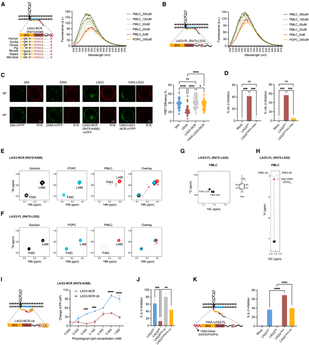 Cell | 南模生物助力揭示免疫检查点LAG3新机制！ - 知乎