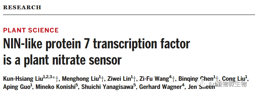 Science | 西北农林科技大学研究揭示植物硝态氮传感因子！ - 知乎