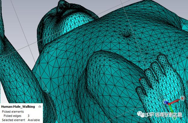 CST软件如何将均匀人体空心2D模型填充3D - 知乎