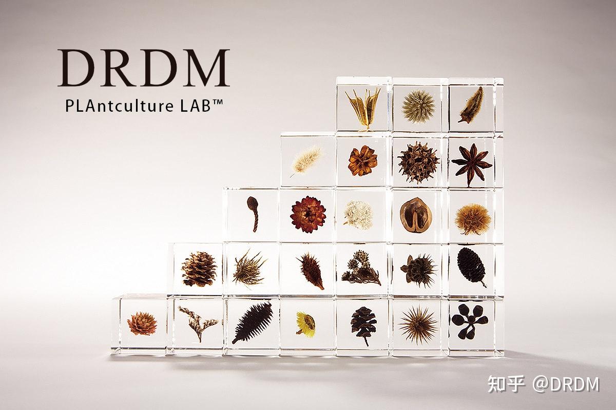 国产新锐祛痘品牌｜DRDM新生代植萃化工 - 知乎