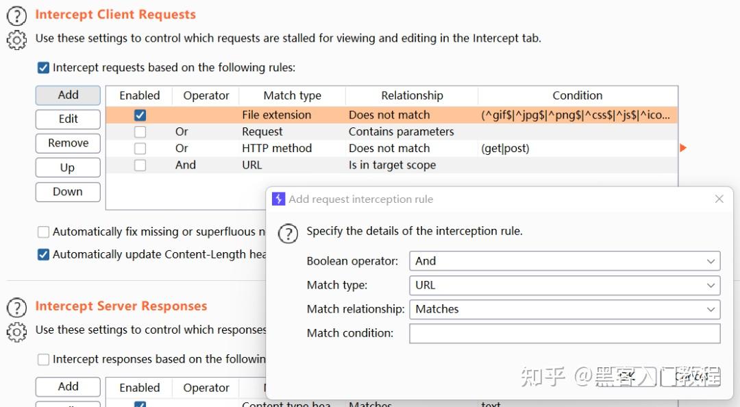 【2023最新版】超详细Burp Suite安装保姆级教程，Burp Suite的基本介绍及使用，收藏这一篇就够了 - 知乎