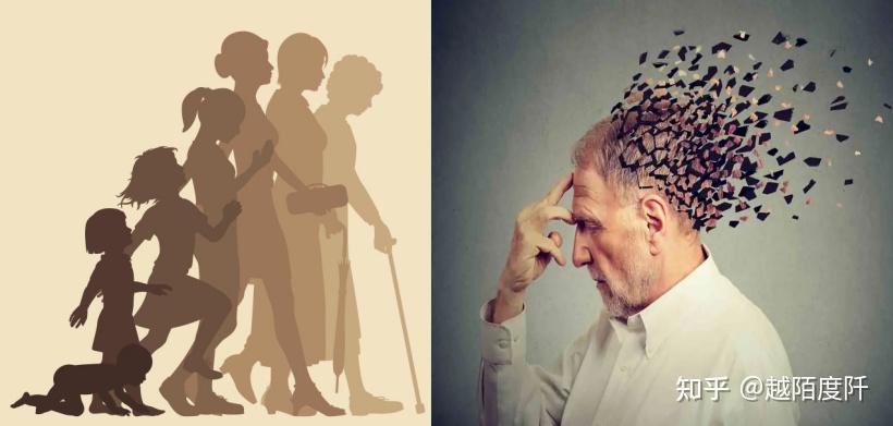 Nature Aging：低剂量长寿因子“klotho”改善老年非人灵长类动物的认知 - 知乎