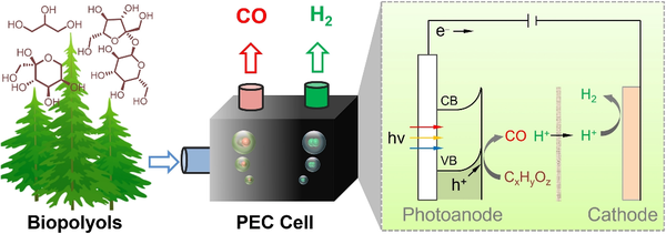 光电催化新体系！最新Angew，同时生产CO和H₂ - 知乎