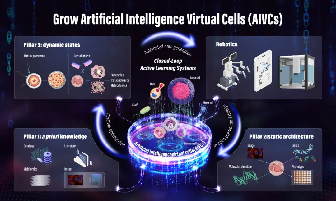 Cell Res：如何培养AI虚拟细胞（AIVCs）？ - 知乎