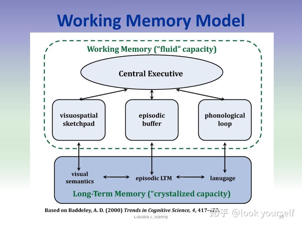 working Memory working Memory