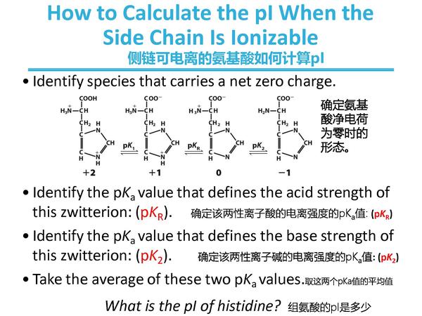 莱宁格生物化学原理 Lehninger Principles of Biochemistry 重点划线 导读双语课件 - 知乎