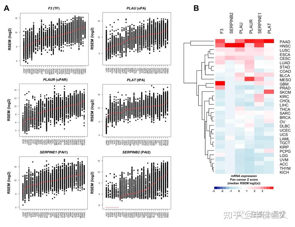 6.6分基因集泛癌分析纯生信 并没有很难 - 知乎