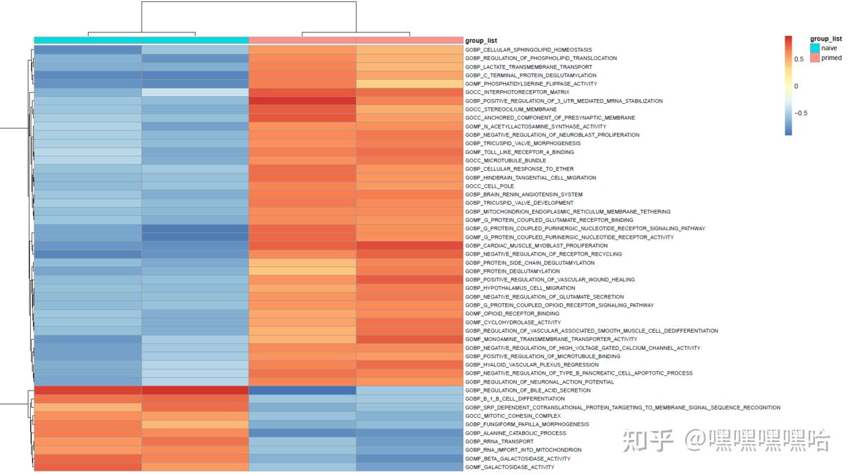RNA-seq入门实战（八）：GSVA——基因集变异分析 - 知乎