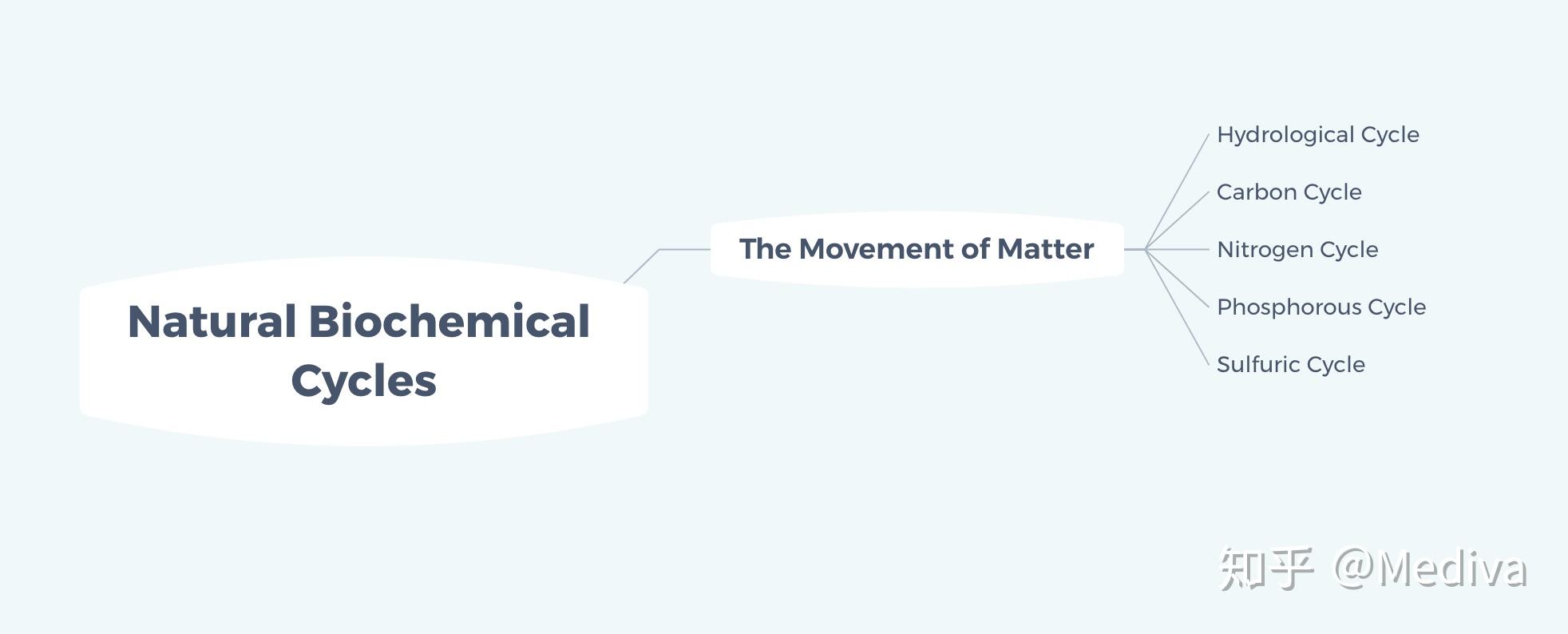 AP环境科学突击复习Part 9：Natural Biochemical Cycles - 知乎