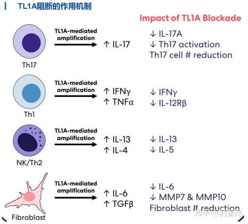 赛诺菲百亿入局！护驾“药王”的IBD，迎来“黑马”靶点TL1A - 知乎