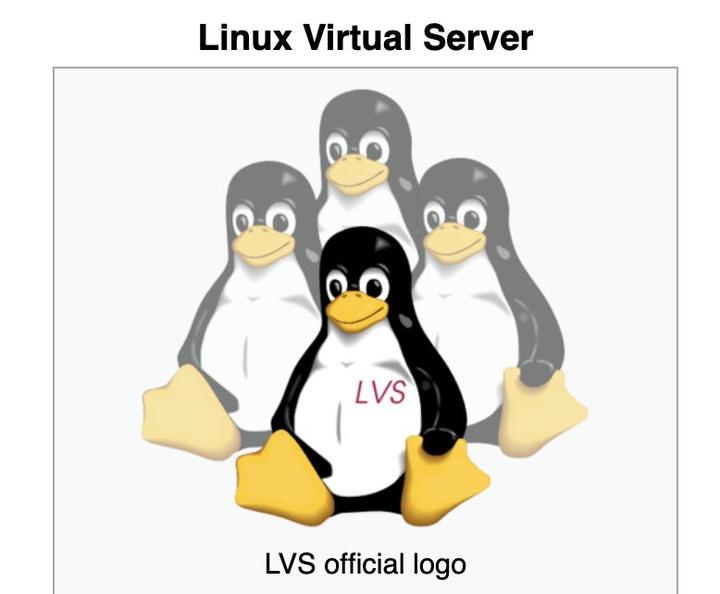 深入浅出 LVS 负载均衡（四）实操 DR 模型、Keepalived DR 模型的高可用 - 知乎