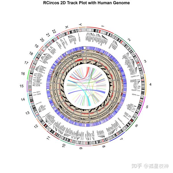 RCircos包绘制染色体模式图_2020-04-01 - 知乎
