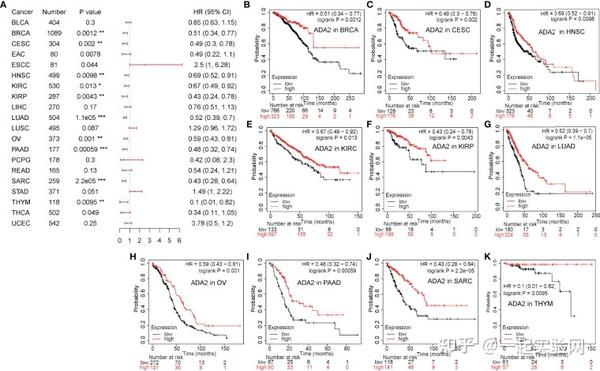 8+！双基因ADA1 和 ADA2的泛癌分析 - 知乎
