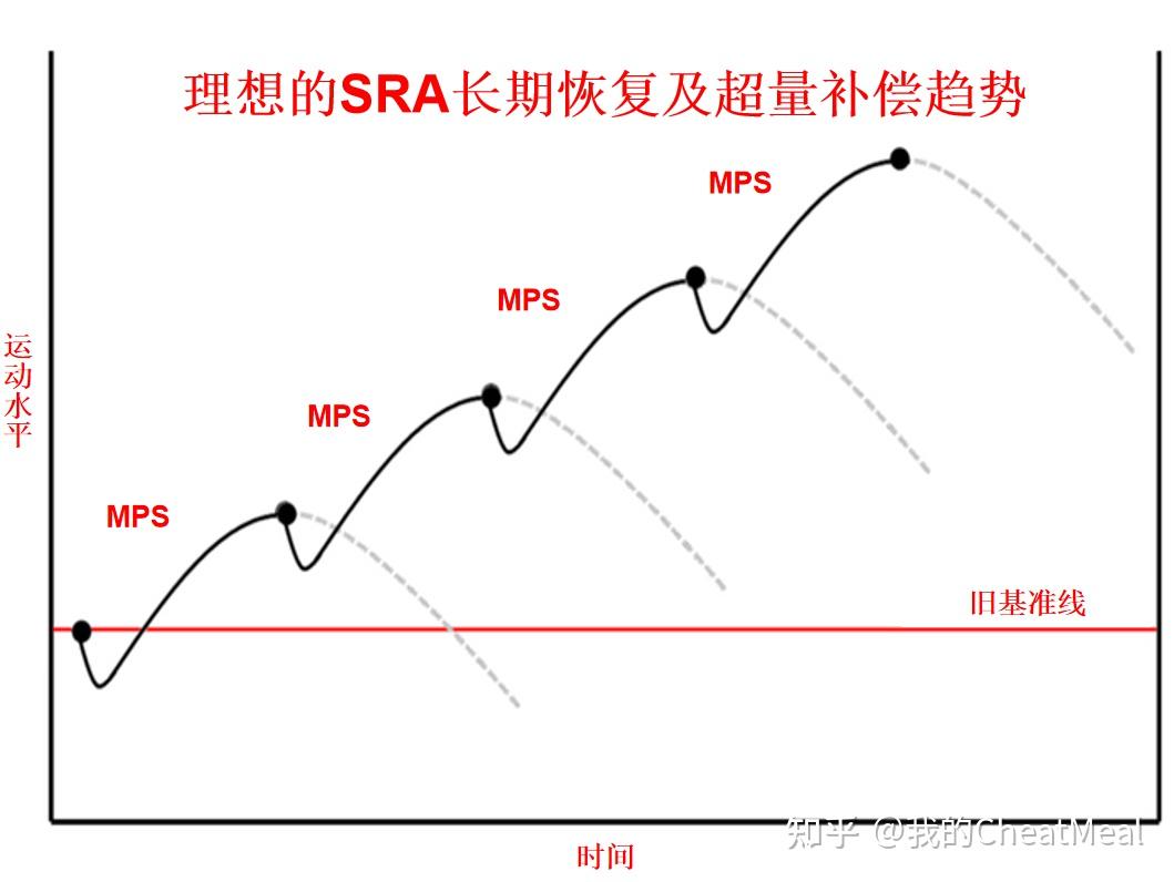 健身不仅仅是模仿，利用SRA曲线设计出自己的一周肌肉分化训练