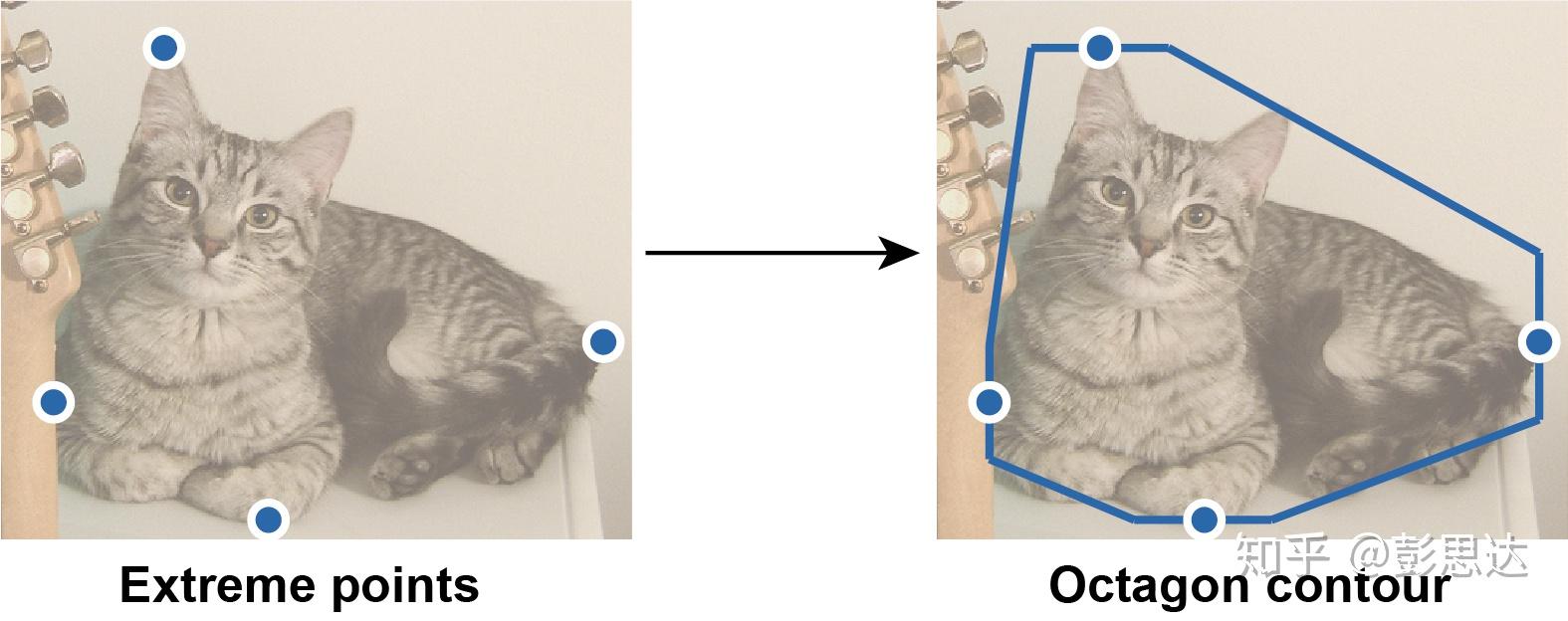实例分割新思路: Deep Snake (CVPR'20 Oral Paper) - 知乎