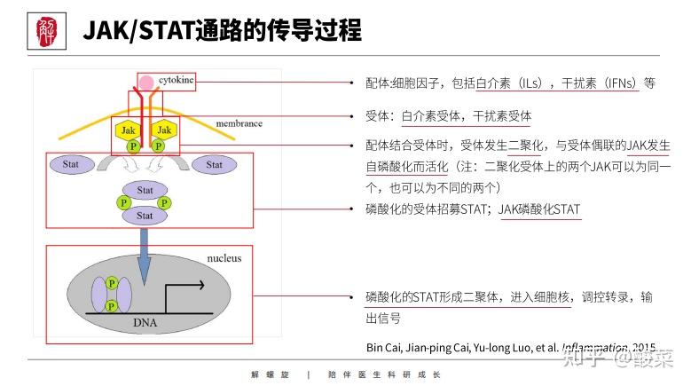 1条就是1篇SCI！带你研究12条信号通路，NF-κB、MAPK、AKT、PI3K…… - 知乎