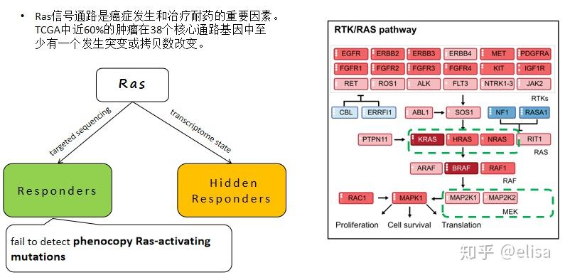 TCGA-机器学习方法识别Ras信号通路的激活 - 知乎