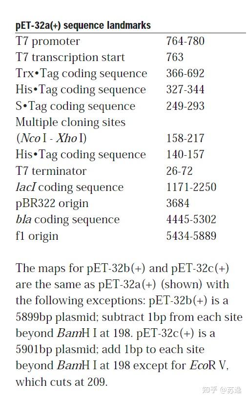 pET-32a(+)质粒载体信息 - 知乎