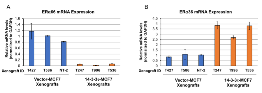 PNAS | 控制进出核的古老信号蛋白14-3-3调节乳腺癌进展关键分子 - 知乎