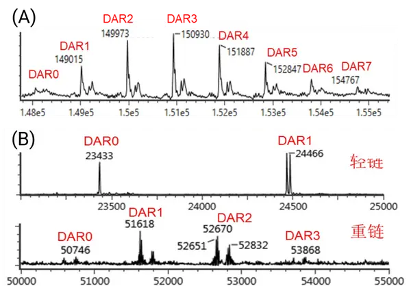 深度分享丨抗体偶联药物（ADC）的DAR值测定策略与难点 - 知乎