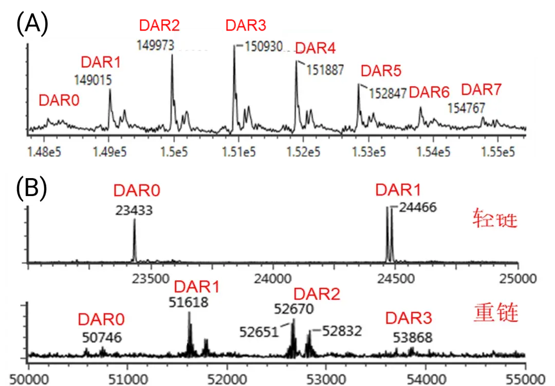 深度分享丨抗体偶联药物（ADC）的DAR值测定策略与难点 - 知乎