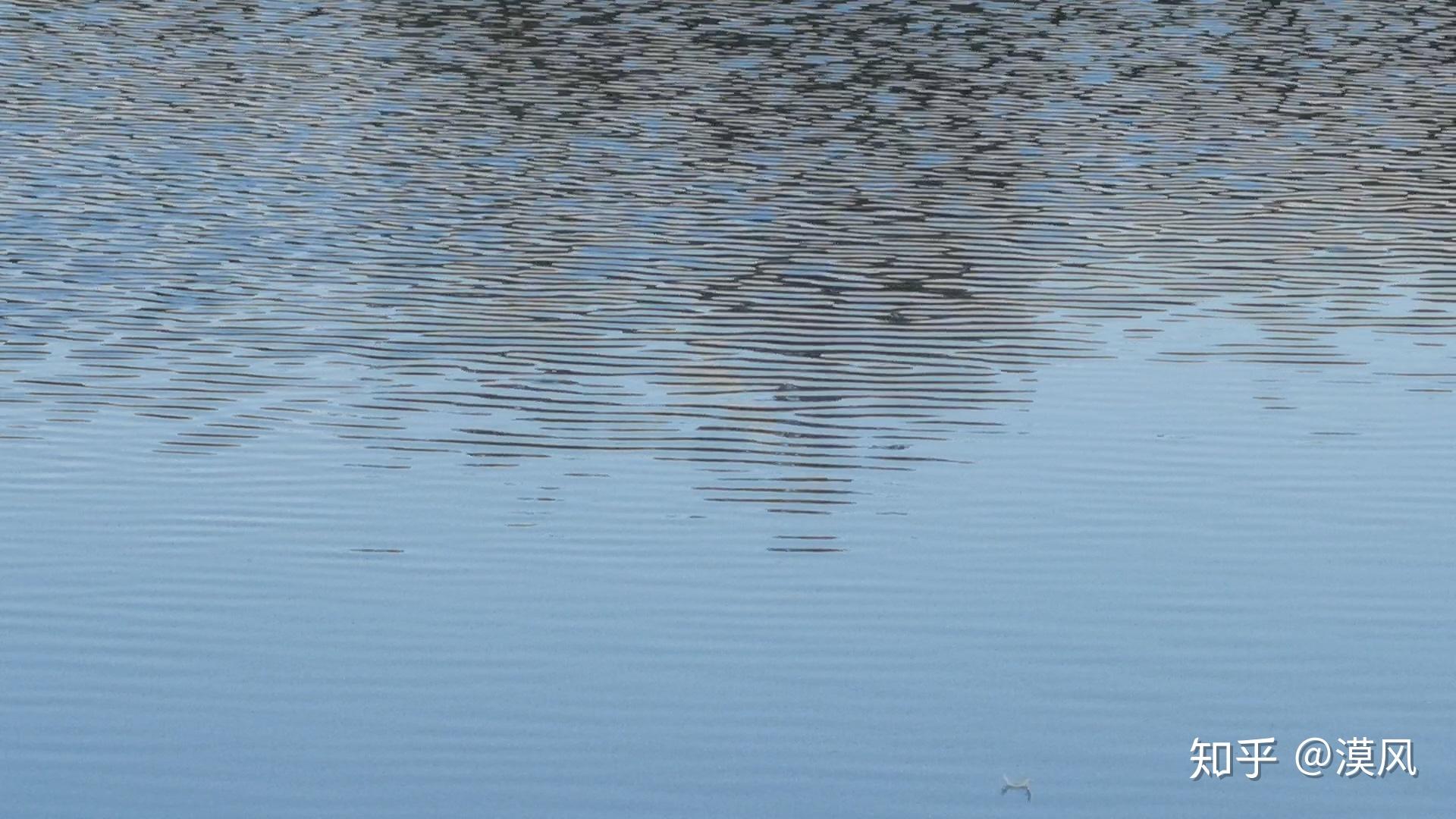 【保持一颗好奇心】关于水面波纹的分界现象，这大概是全网最认真分析的一篇文章了 - 知乎