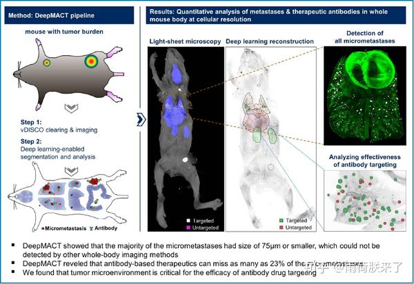 vDISCO和DeepMACT是什么鬼？说是可以让科学家看清全身所有癌症转移 - 知乎