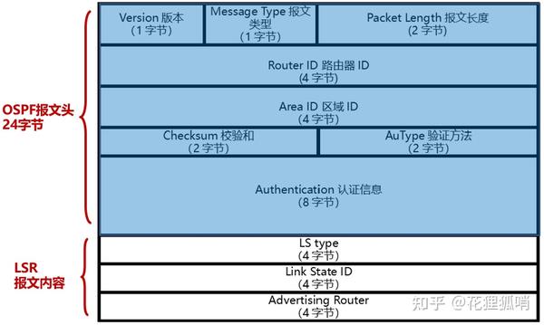 OSPF报文格式 - 知乎