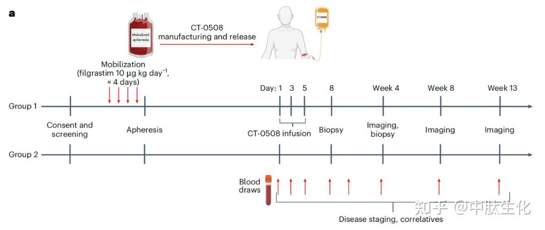 Nature Medicine：首个CAR-巨噬细胞疗法临床试验结果公布，安全有效治疗晚期实体瘤 - 知乎
