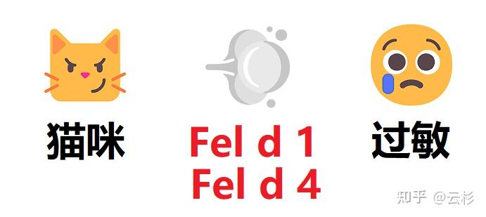 养猫2年，突然发现过敏的罪魁祸首竟是宠爱有加的猫，如何实现救赎？一位猫过敏铲屎官的自救指南 - 知乎