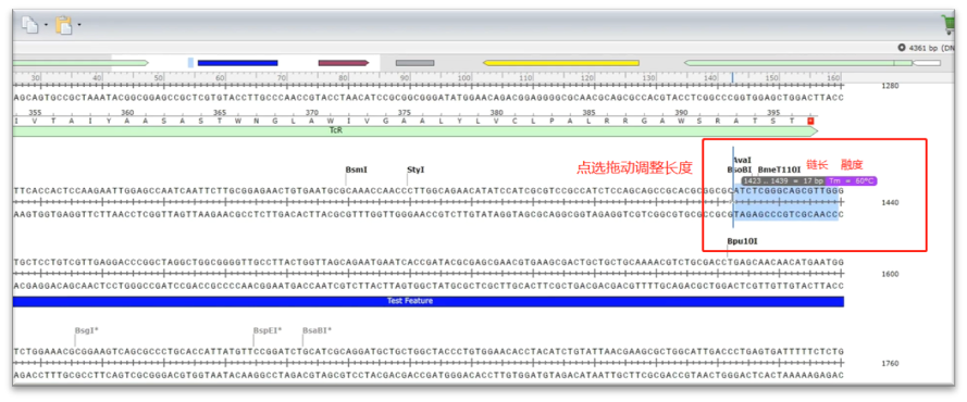 SnapGene学院之旅-注释序列 - 知乎