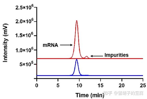 武汉滨会生物开发无帽子无修饰线性mRNA技术平台。 - 知乎