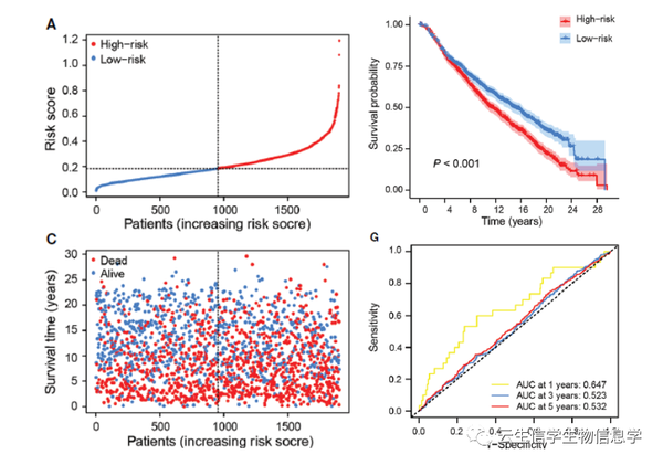 这个思路你绝对没见过！单基因+单细胞预后模型构建+免疫分析，一键抵达8分+，创新性绝绝子 - 知乎