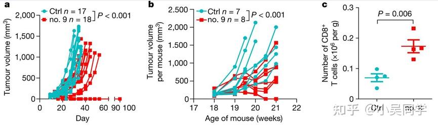 辉瑞领投DDR1抗体 - 知乎