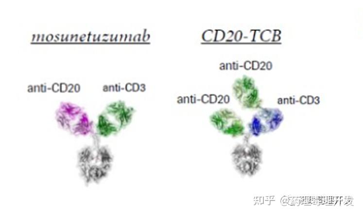 CD3 T细胞连接器药物研发进展 - 知乎