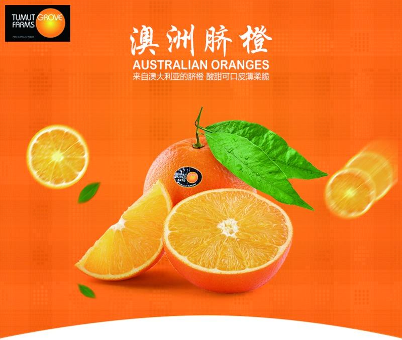 知乎盐选 | 4.3 商品详情页的编排