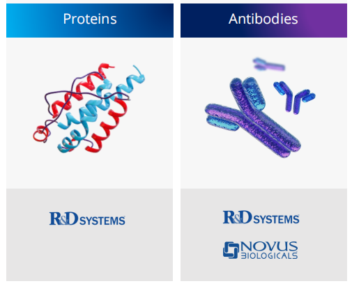 130亿美元市值 ！全球生命科学服务龙头Bio-Techne布局 - 知乎