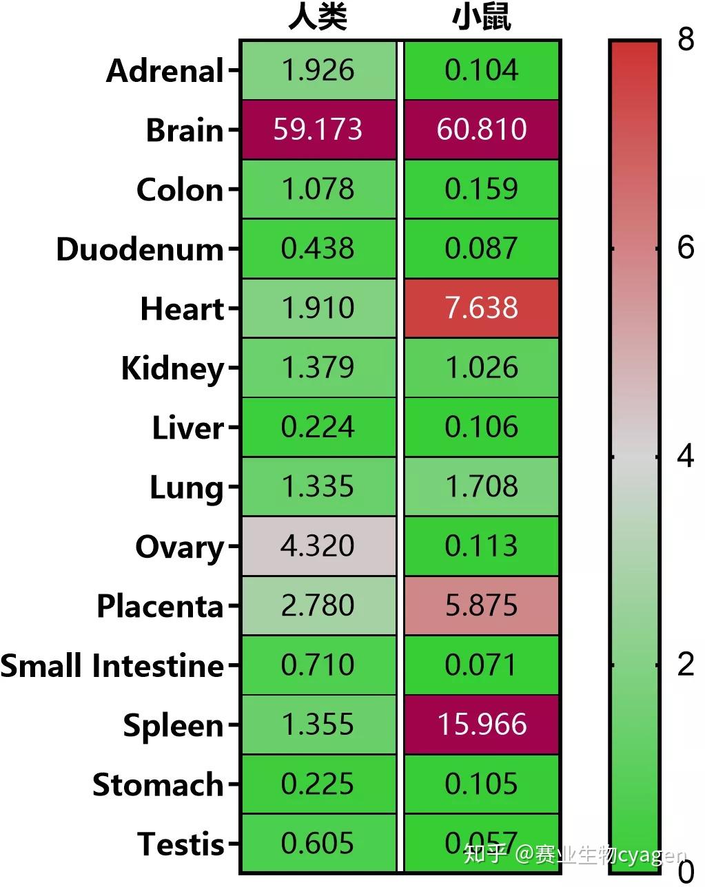神经退行性疾病致病基因之SNCA - 知乎