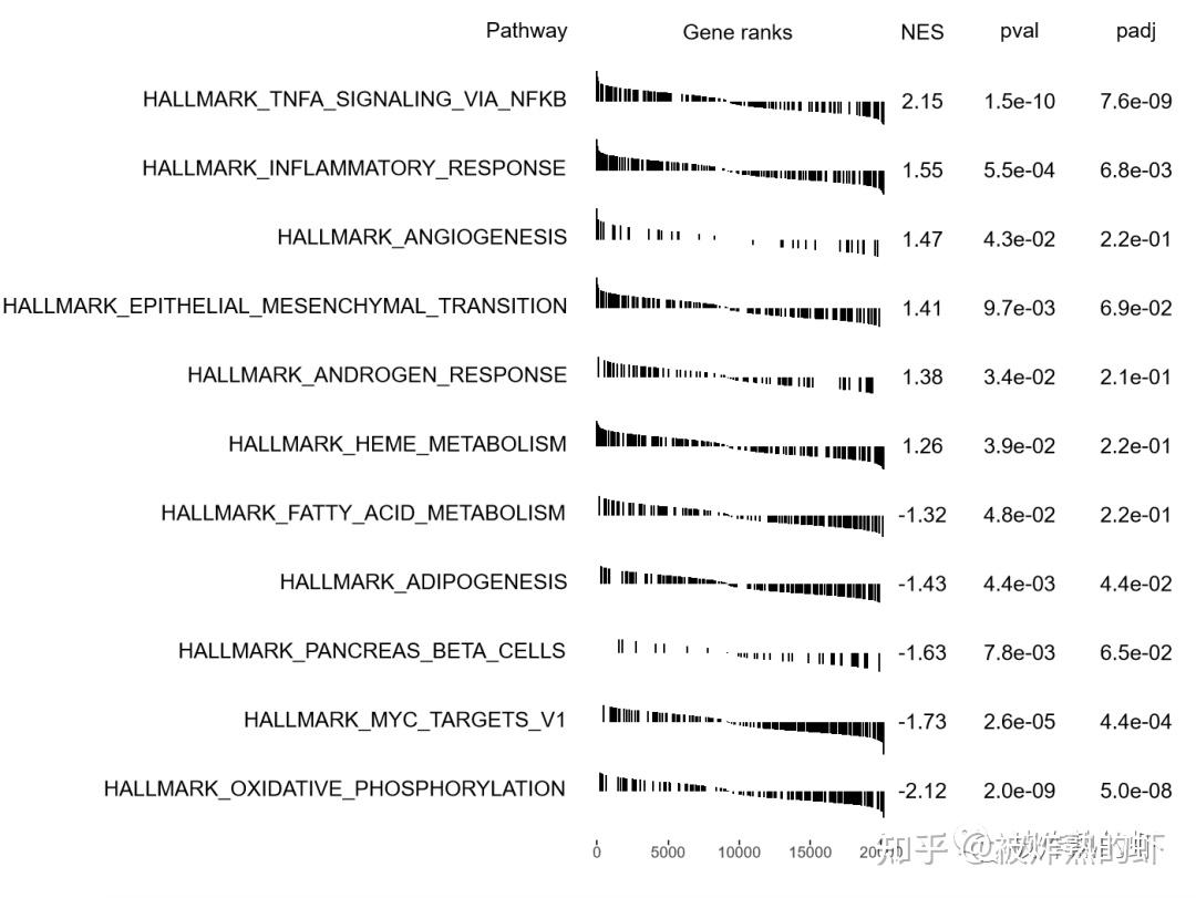 基因集富集分析（GSEA）基础 - 知乎