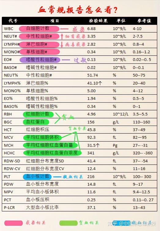 最全血常规报告解读带你轻松看懂血常规。 知乎