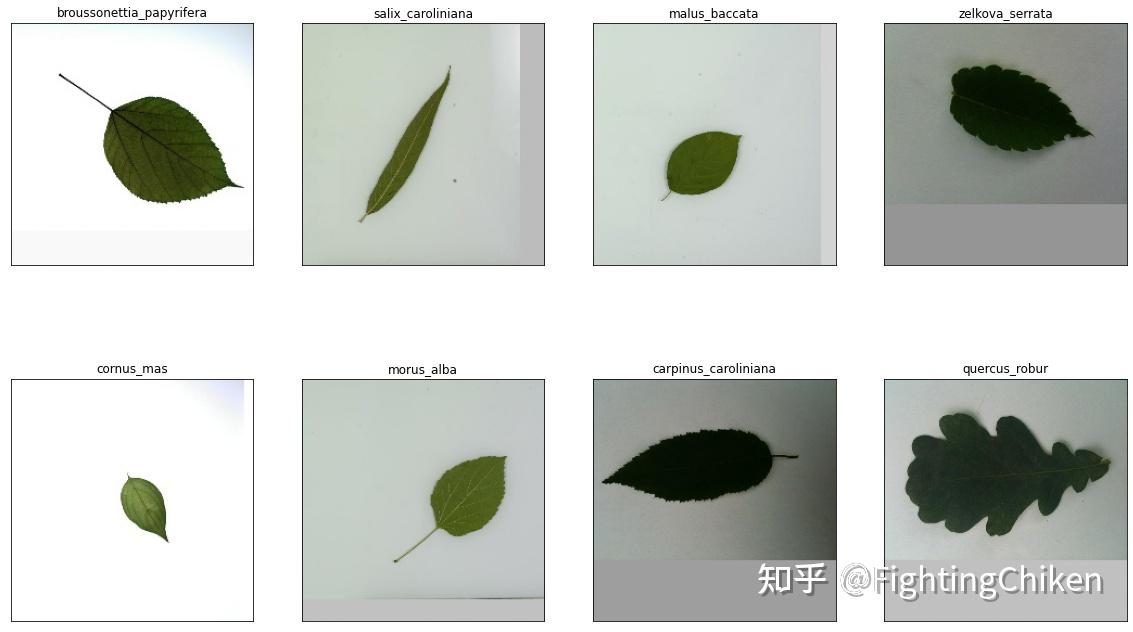 《动手学深度学习》笔记(Classify Leaves代码总结与学习(Gold)）（三十五） - 知乎