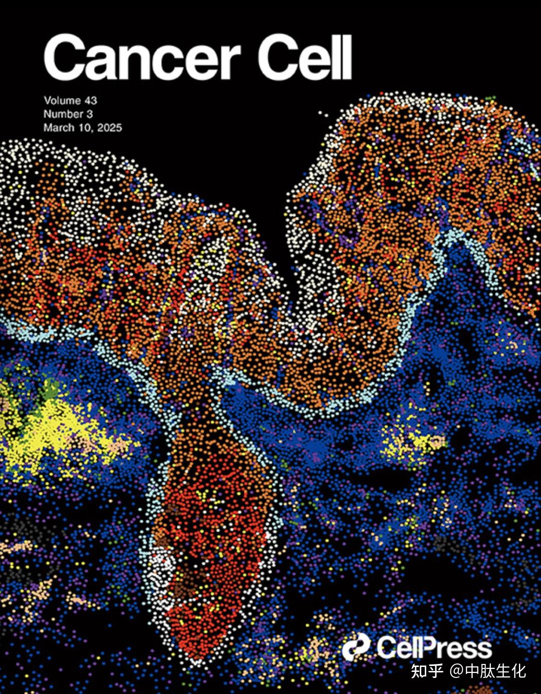Cancer Cell封面论文：林东昕/吴晨/常江/王晓群等绘制全球首个食管癌发生发展的单细胞多阶段空间进化图谱 - 知乎