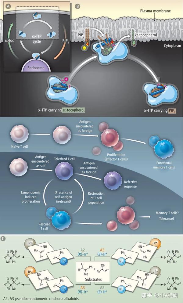 拯救绘图小白！6000张Nature&Science期刊官方插图已打包！附赠科研与临床绘图PPT素材 - 知乎