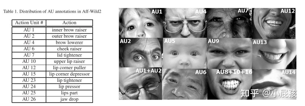 CVPR 2022 ABAW - 知乎